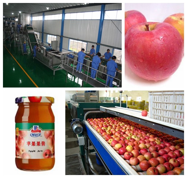 Small Capacity Apple Juice Processing Plant SS304 Material Beverage ...